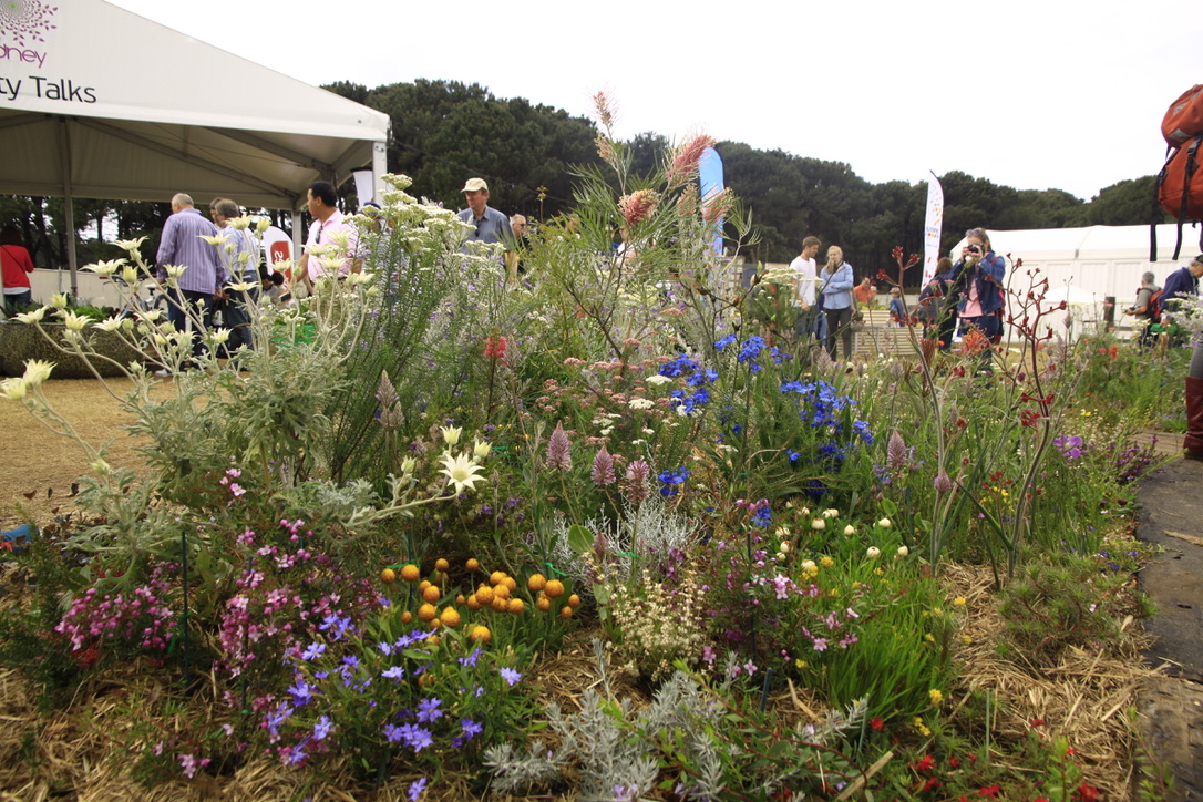 Australian Garden Show – Cicada Creations